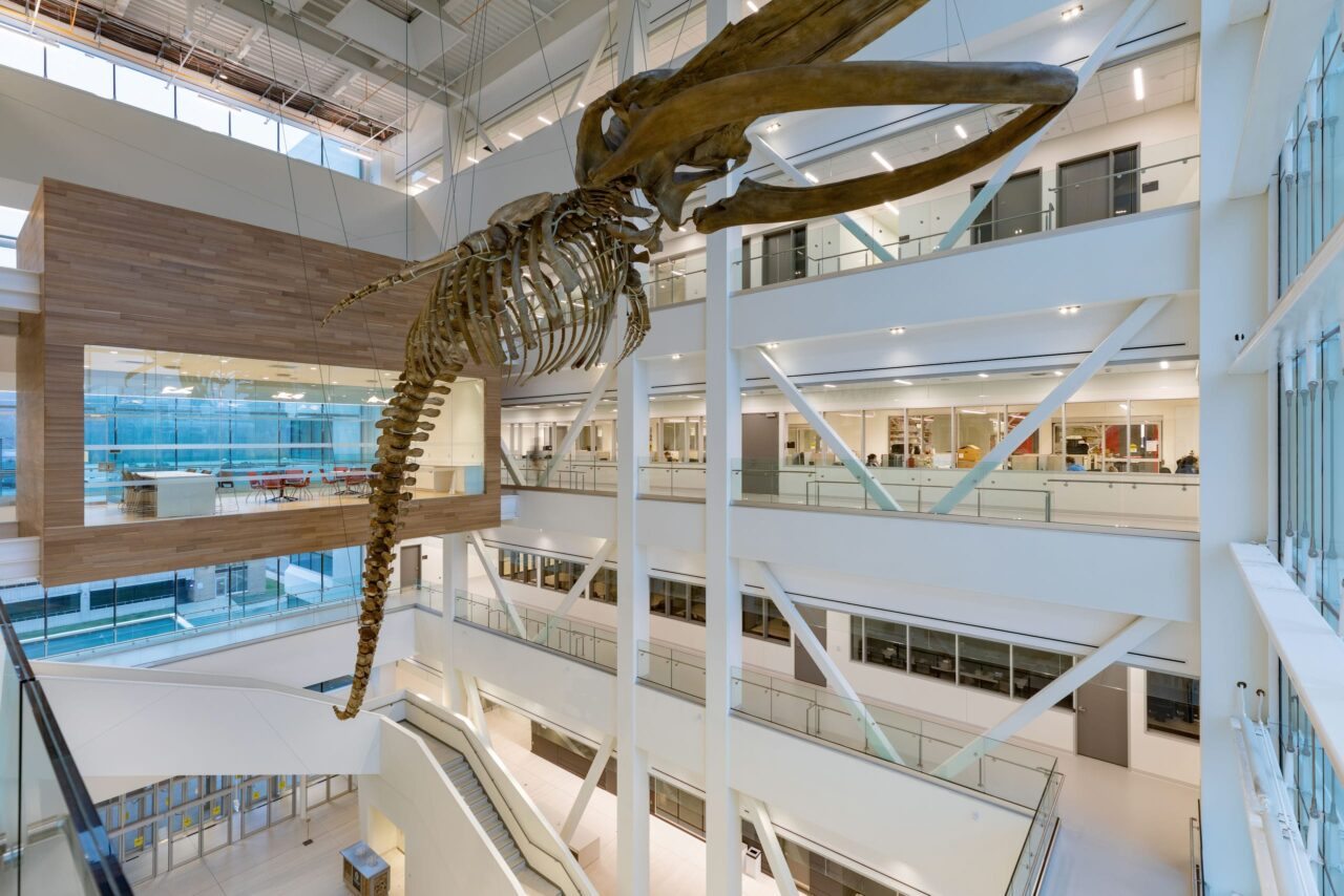 Memorial University of Newfoundland Core Science Facility - Saint ...