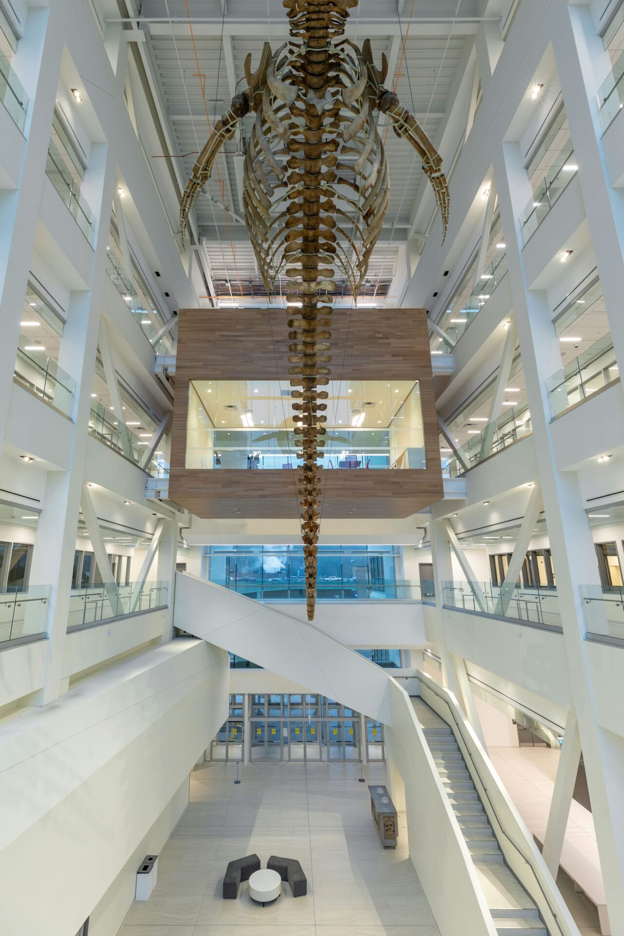 Memorial University of Newfoundland Core Science Facility - Saint ...